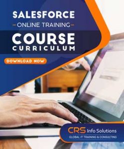 Salesforce Course for Beginners [2024] - CRS Info Solutions