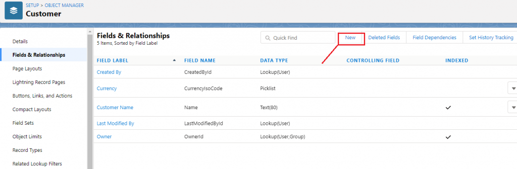 Salesforce Apex Tutorial – Chapter 3: Apex Examples - CRS Info Solutions