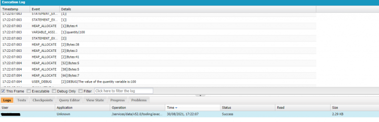 Salesforce Apex Environment