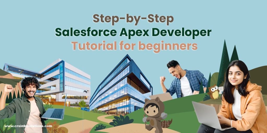 Step By Step Salesforce Apex Developer Tutorial For Beginners
