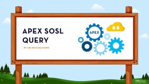 SOQL Query in Salesforce Apex - CRS Info Solutions