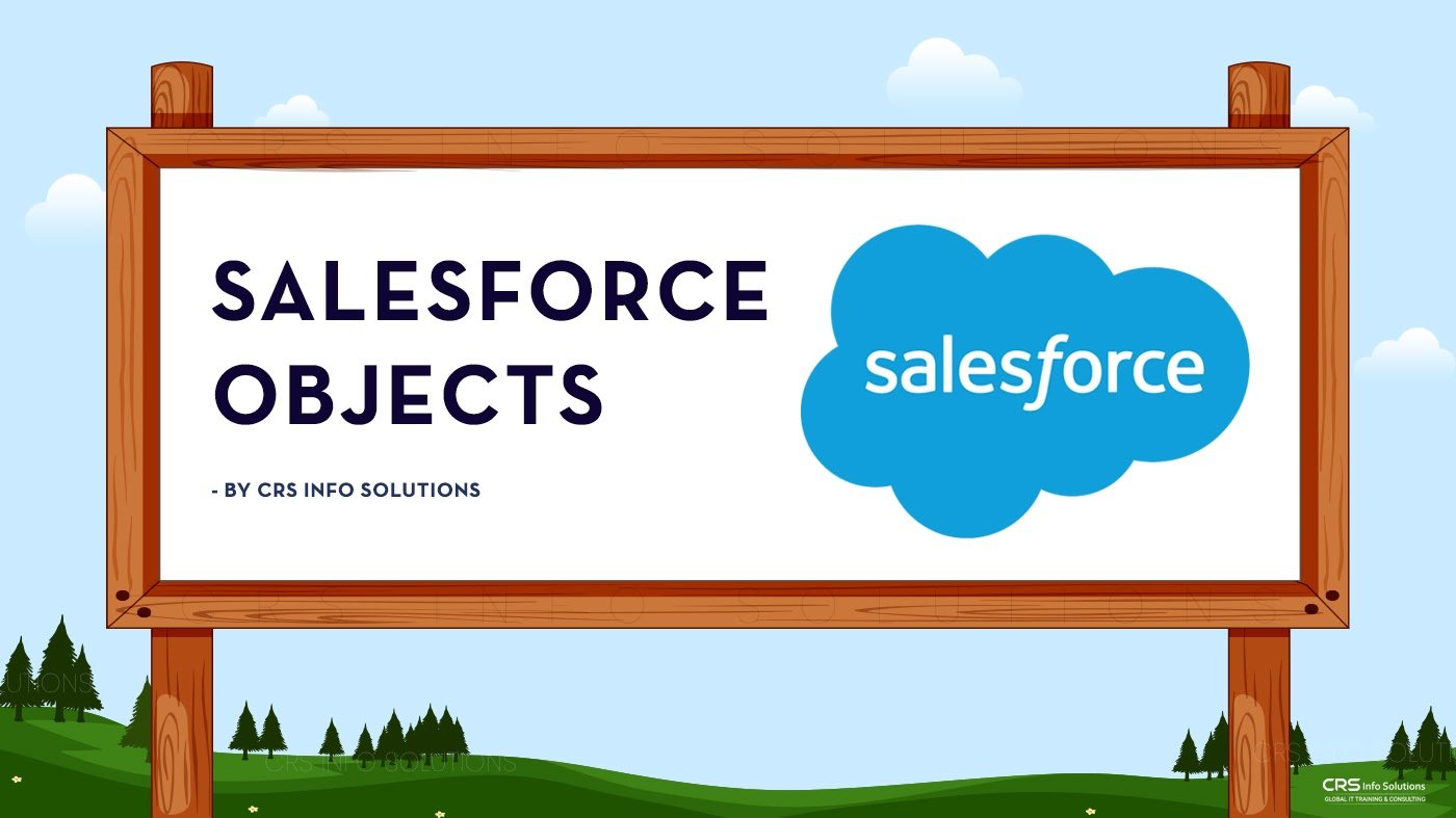 Salesforce Objects Salesforce Admin Tutorial Crs Info Solutions