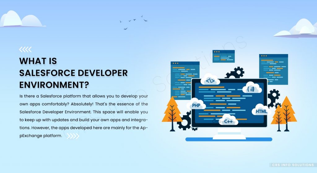 Learn the simple differences between Salesforce Sandbox and Developer ...