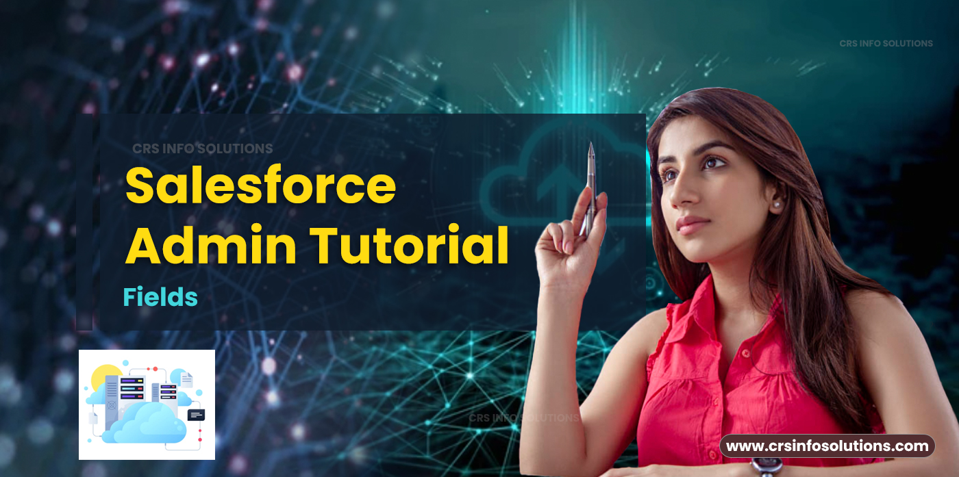 Fields In Salesforce