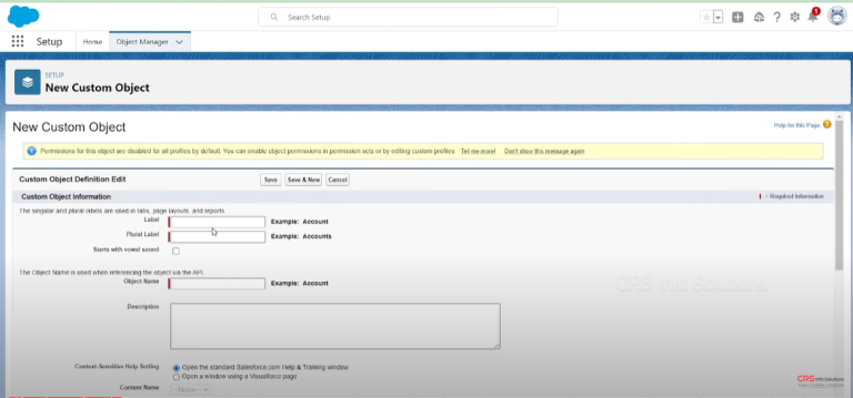 Objects and Tabs in Salesforce