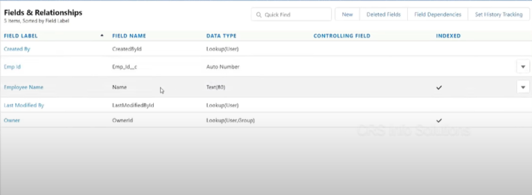 Fields in Salesforce