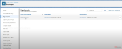 Page Layouts in Salesforce