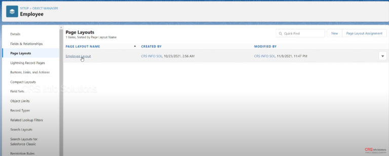 Page Layouts in Salesforce