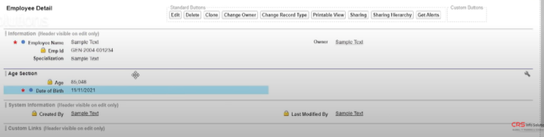 Page Layouts in Salesforce