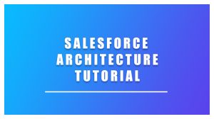 Salesforce Architecture Tutorial - CRS Info Solutions