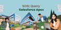 SOSL Query in Salesforce Apex