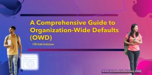 Organization-Wide Defaults (OWD) in Salesforce