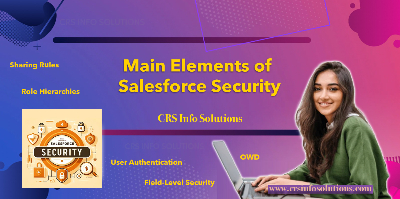 Main Elements Of Salesforce Security Crs Info Solutions