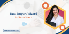 Data Import Wizard in Salesforce - CRS Info Solutions