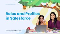 Understanding Roles and Profiles in Salesforce