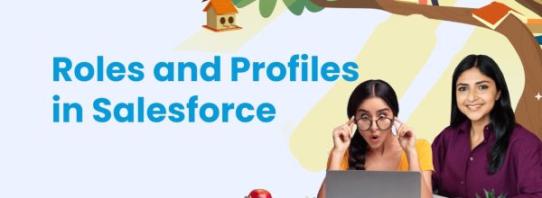 Understanding Roles and Profiles in Salesforce