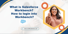 What is Salesforce Workbench? How to login into Workbench?
