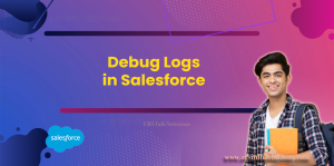 Debug Logs in Salesforce